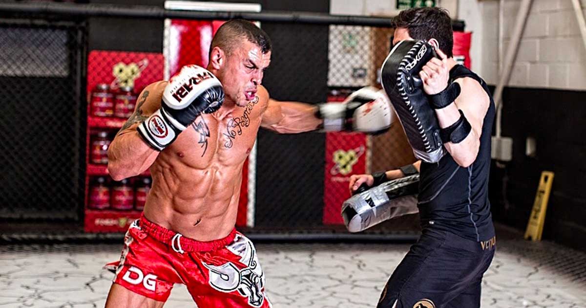 Gym - Fitter Stronger Faster